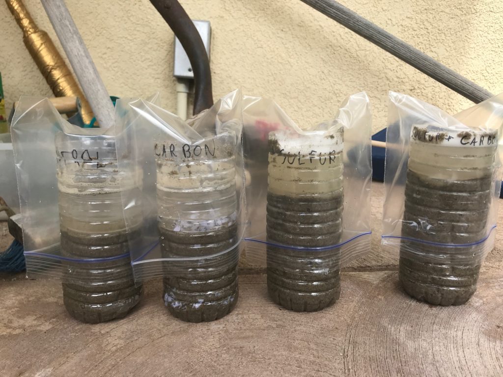 Winogradsky Columns: Week 0 – Let’s Learn Kids!