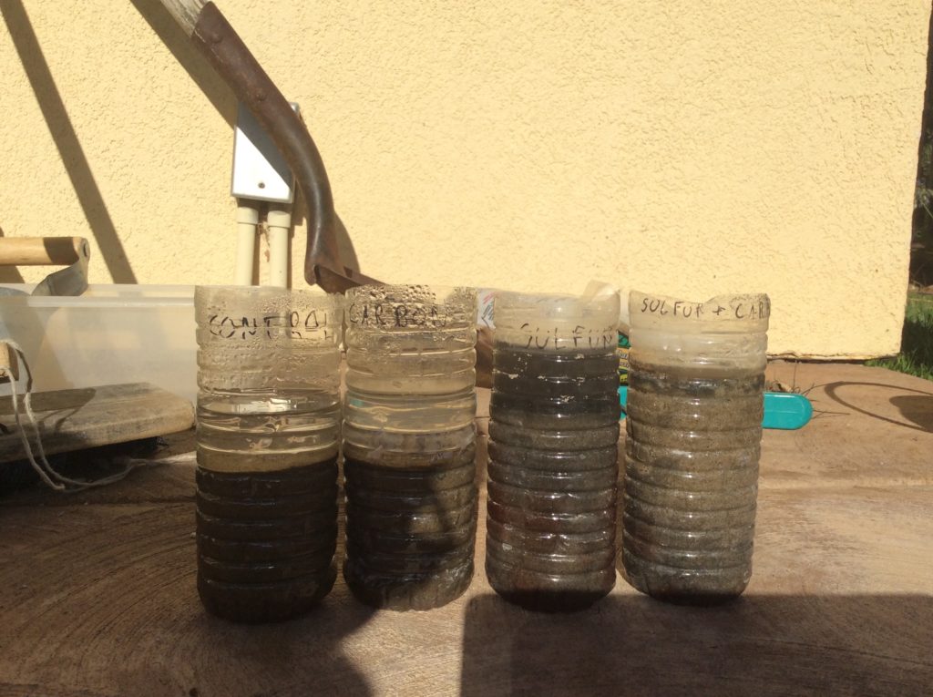 Winogradsky Columns: Week 1 – Let’s Learn Kids!